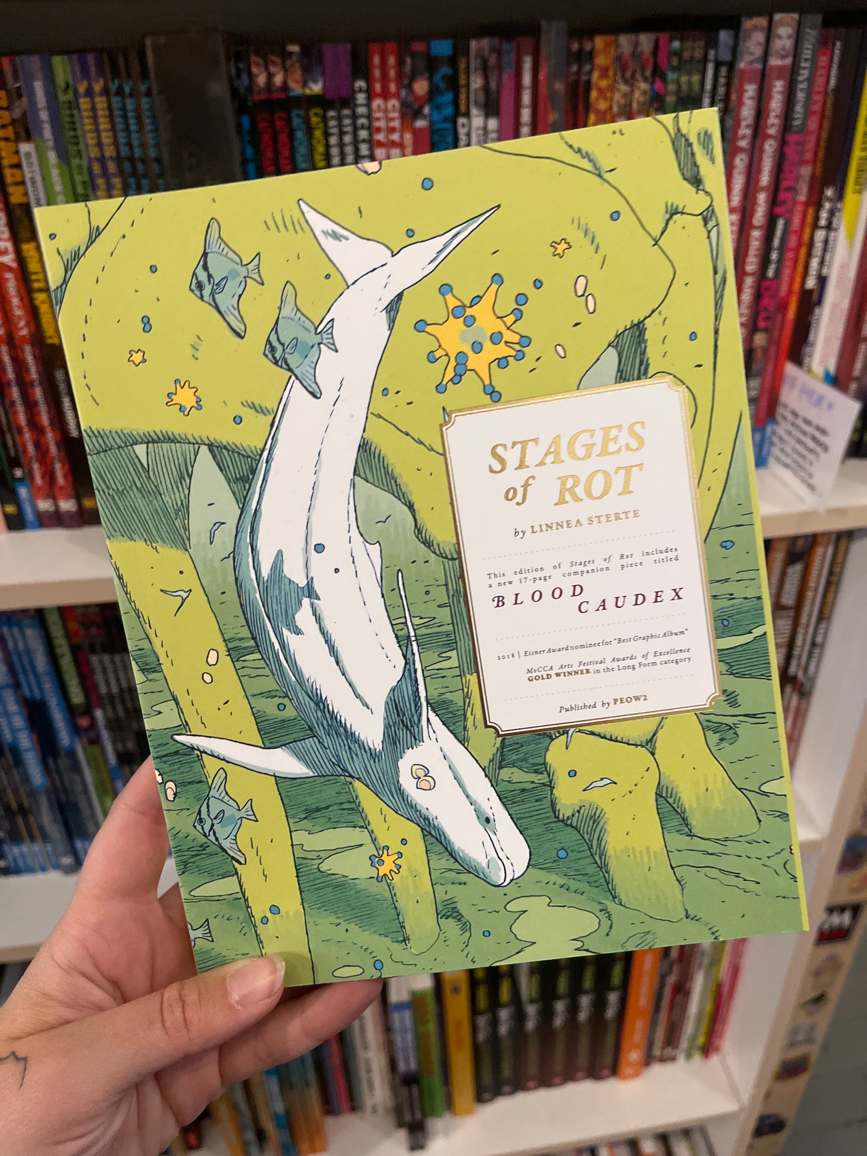 Stages of Rot – Sour Cherry Comics